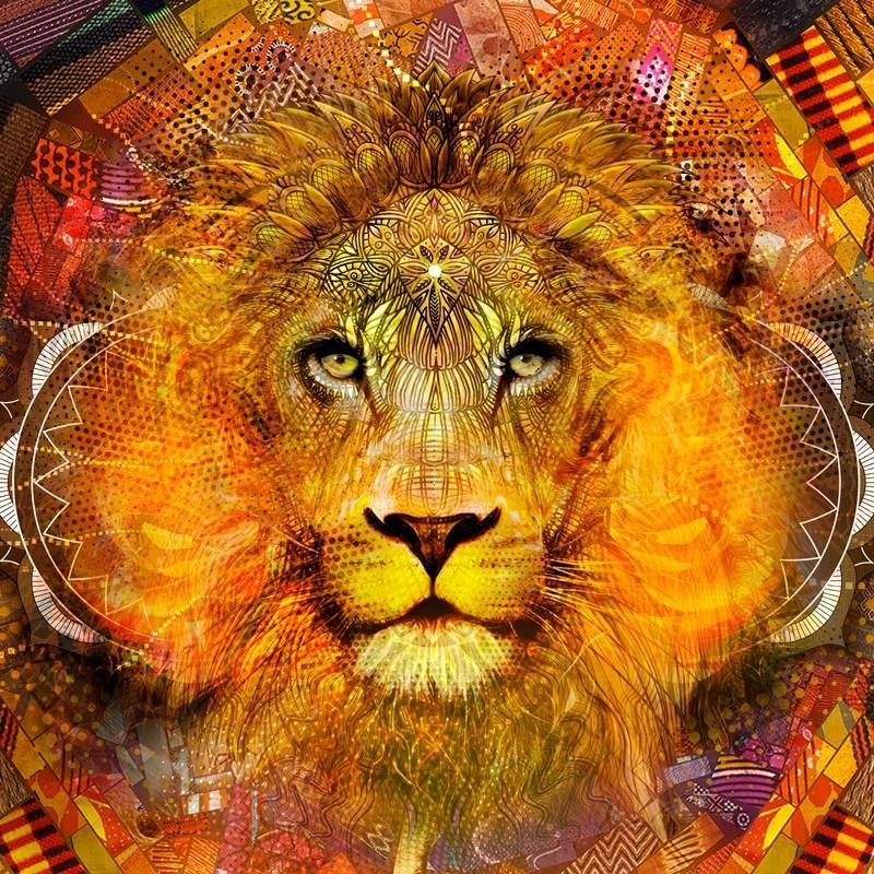 Adhana festival 2018 em Rio Negrinho, Brazil | FestivAll