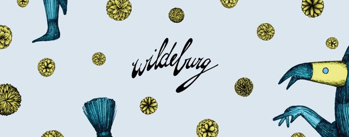 Wildeburg festival 2018 in Kraggenburg , Netherlands | FestivAll