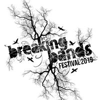 Breaking Bands festival 2018 in Bromsgrove , United Kingdom | FestivAll